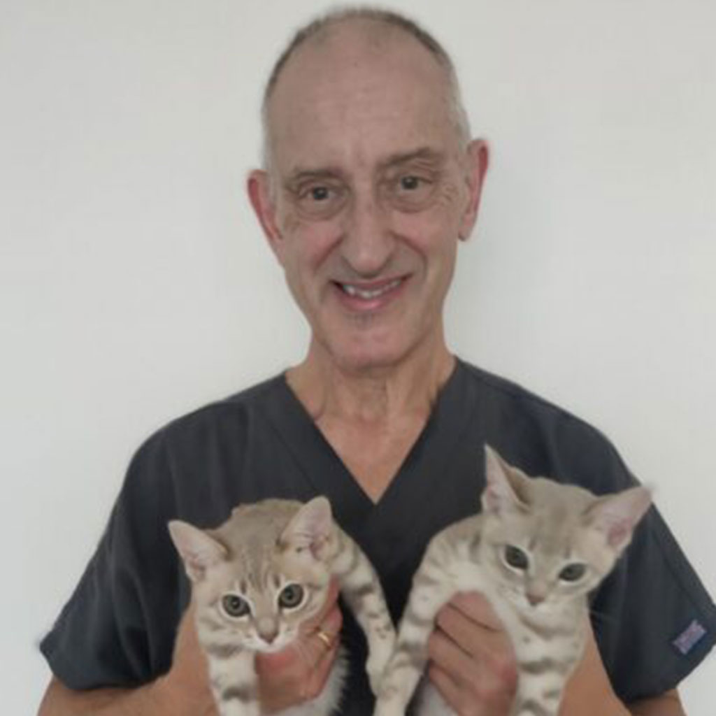 Dr. Anthony Caiafa BVSc, BDSc, MANZCVS, Author at Vetanswers